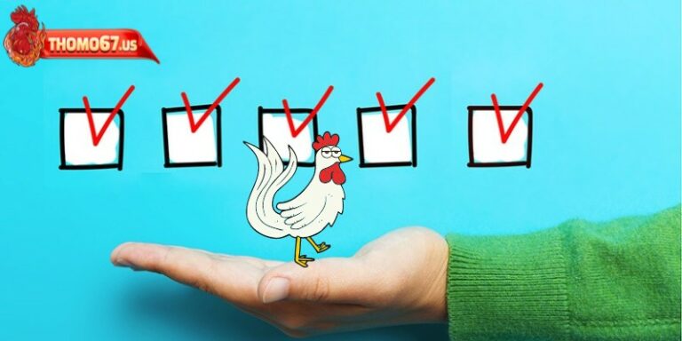 Đánh Giá Thomo67 - Sân chơi Cá Cược Đá Gà Đẳng Cấp Hàng Đầu