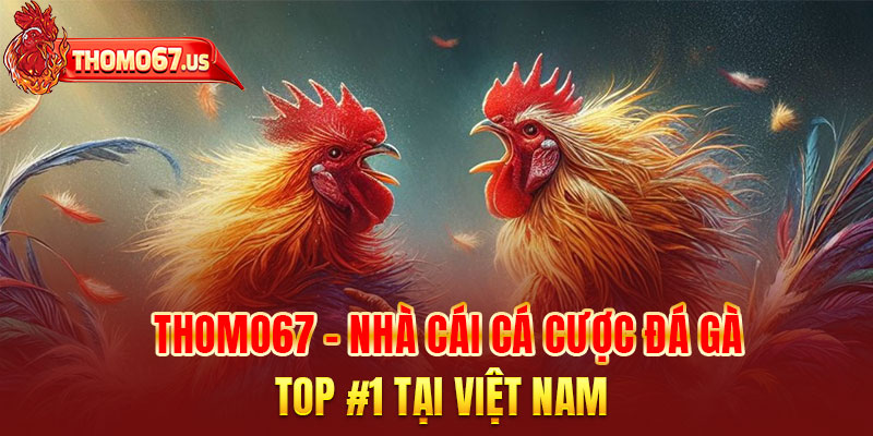 THOMO67 🎖️ TRANG CHỦ NHÀ CÁI UY TÍN SỐ 1 CHÂU Á ️